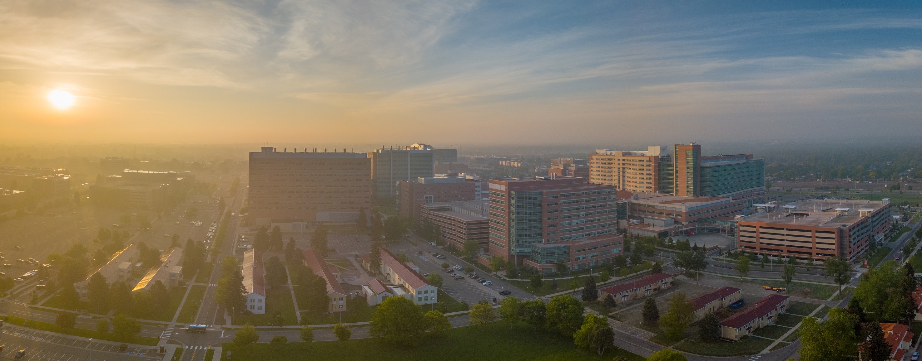 Who We Are | Ludeman Family Center for Women's Health Research