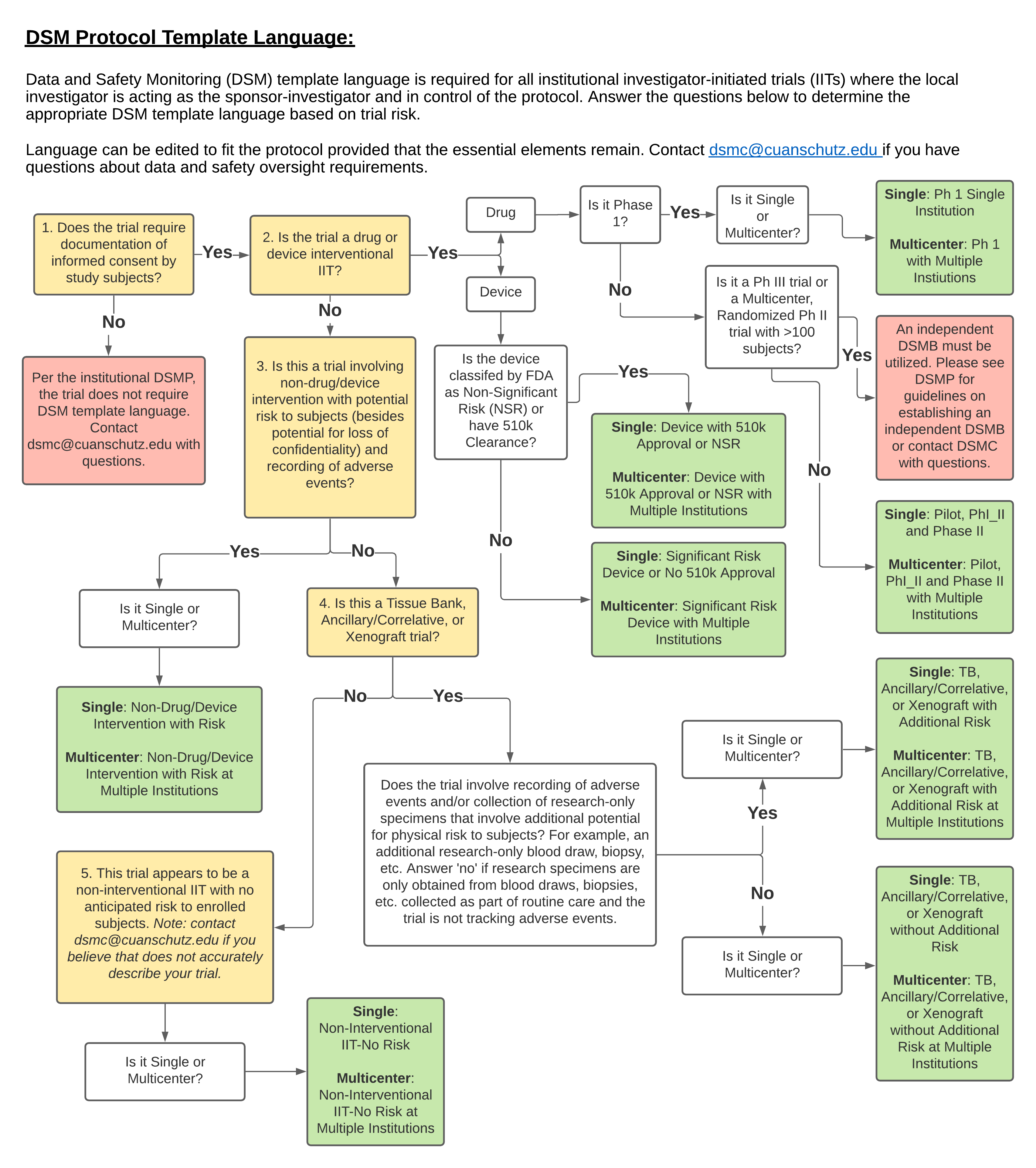 Data Safety Monitoring Committee