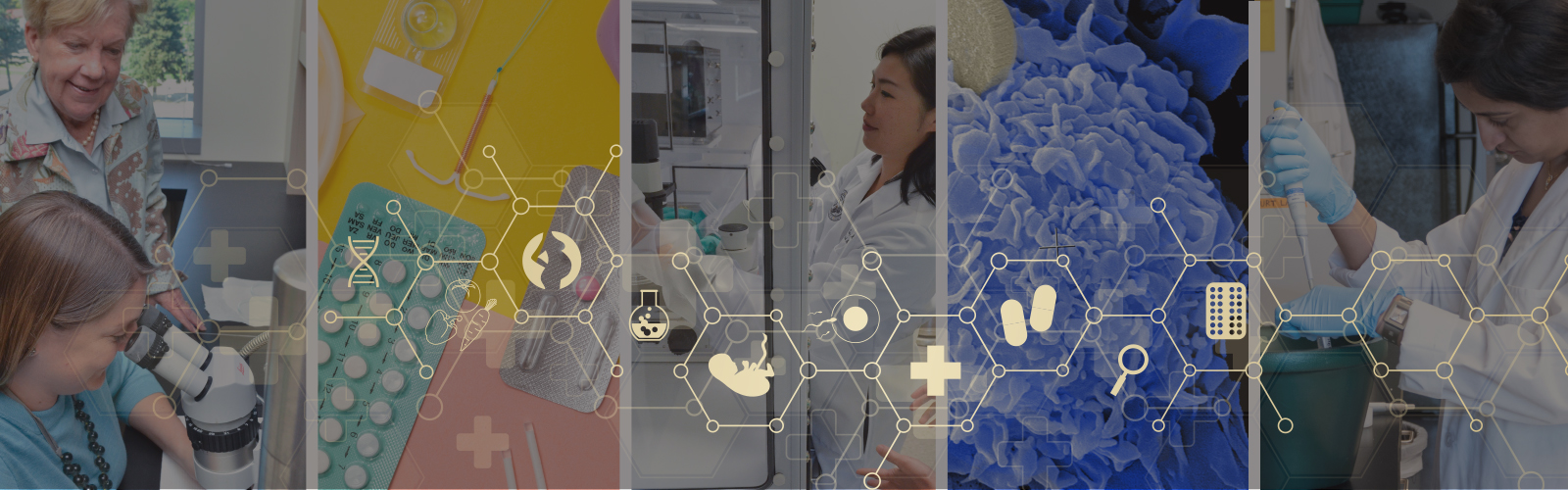 Research | CU Department of Obstetrics and Gynecology