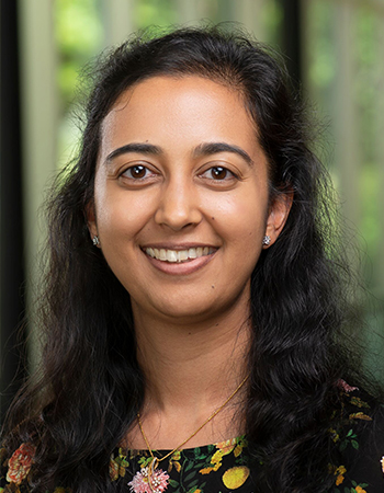 Division of Pulmonary Curriculum